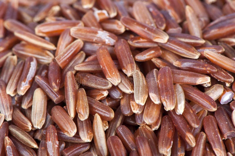 Peeled red rice stock image. Image of food, vegetable - 31963125