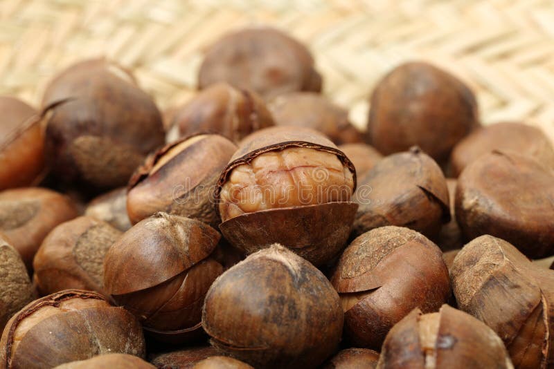 Peeled roasted chestnut stock image. Image of cooked - 69181171