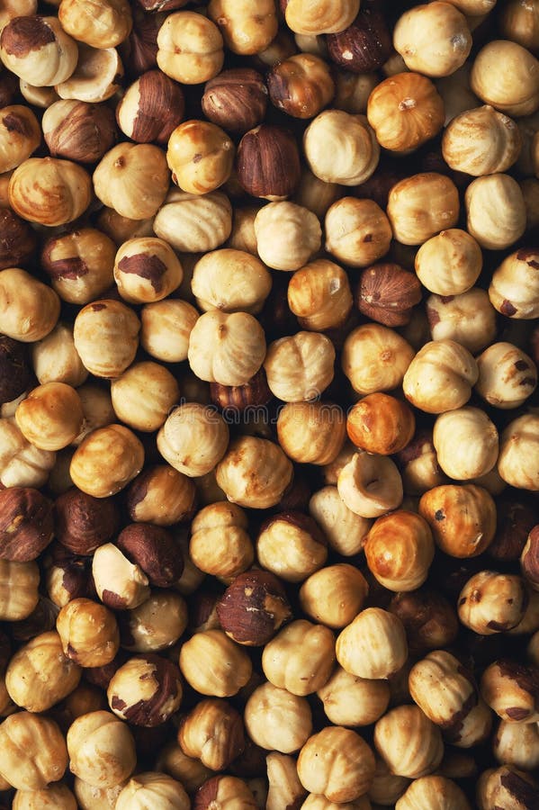 Peeled Roasted Hazelnut. Background and Texture Stock Image - Image of ...