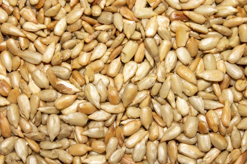 Peeled Roasted Sunflower Seeds.the Texture of Sunflower Seeds Stock ...