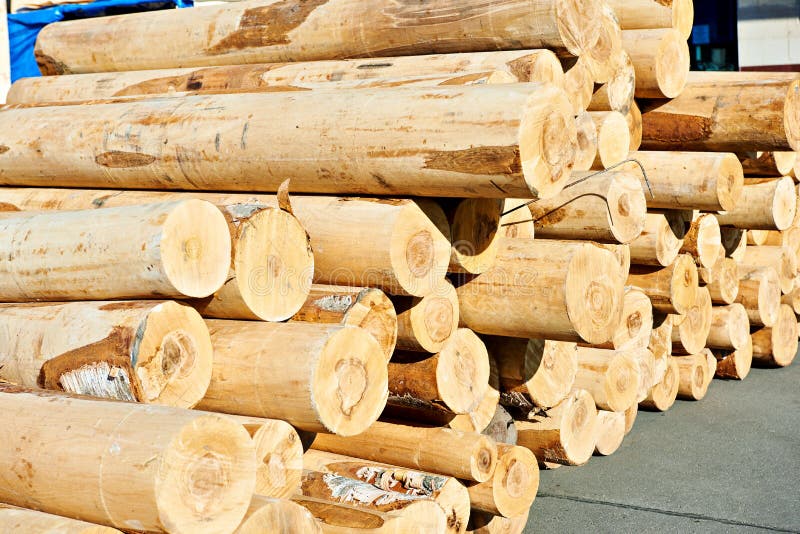 Peeled Smooth Logs at Sawmill Stock Photo - Image of texture, bark ...