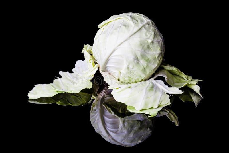 Peeled white cabbage stock image. Image of food, cabbage - 60154811