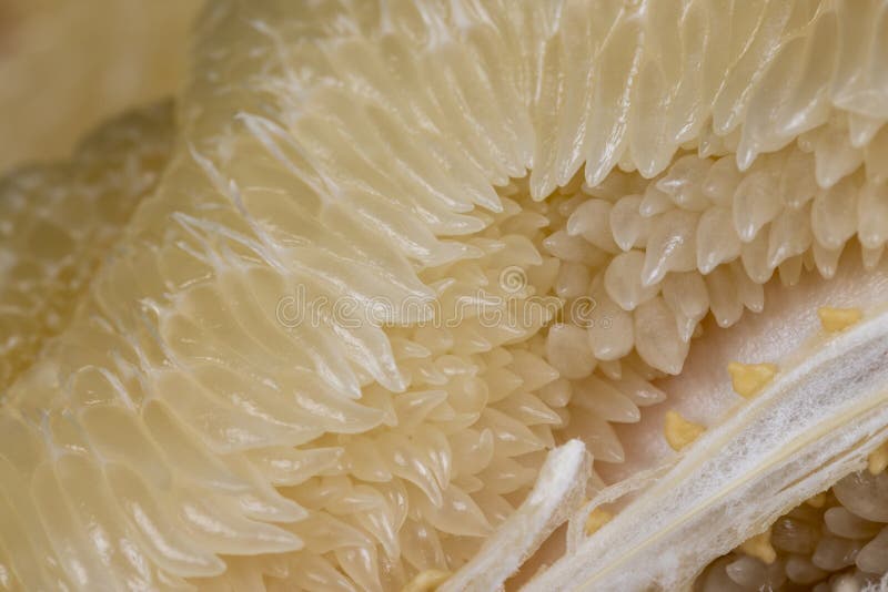 Peeled Yellow Pomelo, Juicy Pomelo Stock Photo - Image of chinese ...