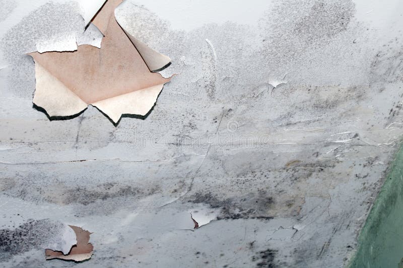 Peeling Damaged Flaking and Falling Down Paint on a Ceiling in a Damp ...