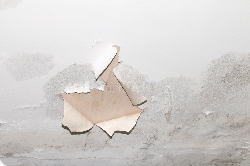 Peeling Damaged Flaking and Falling Down Paint on a Ceiling in a Damp ...