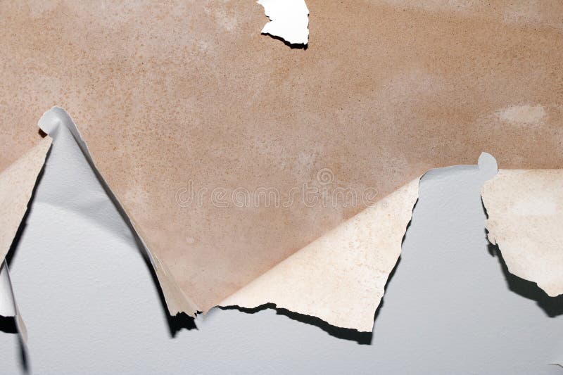 Peeling Damaged Flaking and Falling Down Paint on a Ceiling in a Damp ...