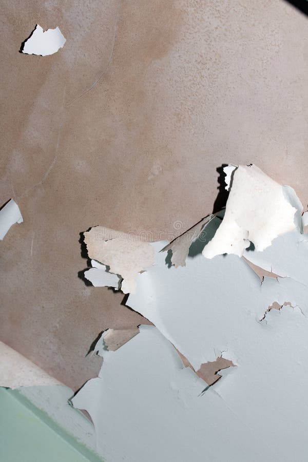 Peeling Damaged Flaking and Falling Down Paint on a Ceiling in a Damp ...