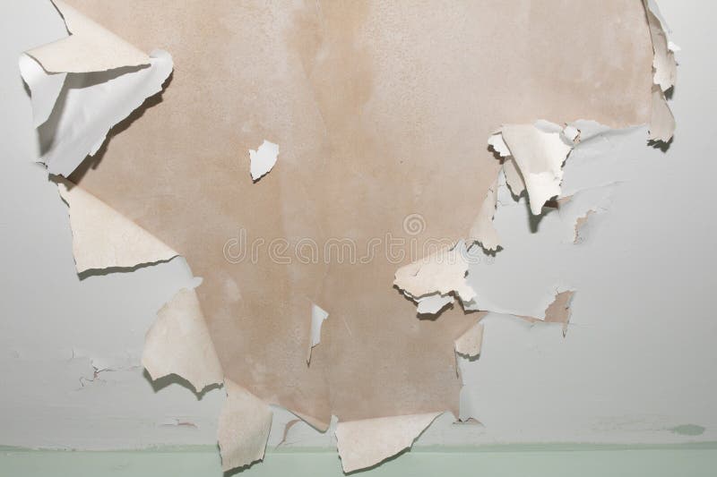 Peeling Damaged Flaking and Falling Down Paint on a Ceiling in a Damp ...