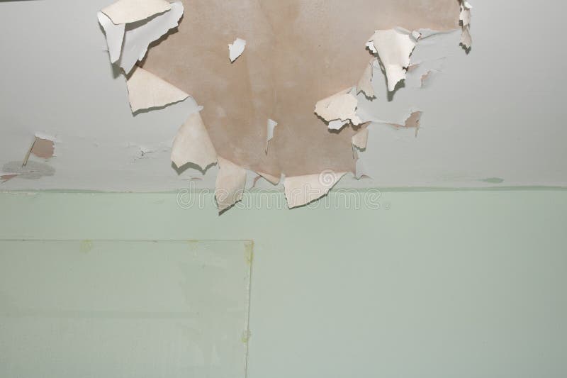 Peeling Damaged Flaking and Falling Down Paint on a Ceiling in a Damp ...
