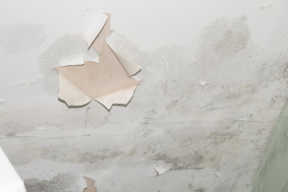 Peeling Damaged Flaking and Falling Down Paint on a Ceiling in a Damp ...