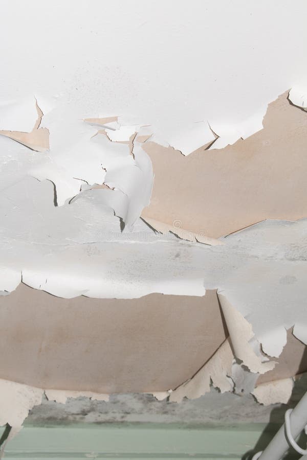 Peeling Damaged Flaking and Falling Down Paint on a Ceiling in a Damp ...