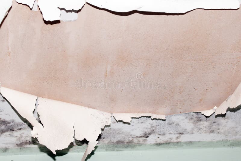 Peeling Damaged Flaking and Falling Down Paint on a Ceiling in a Damp ...