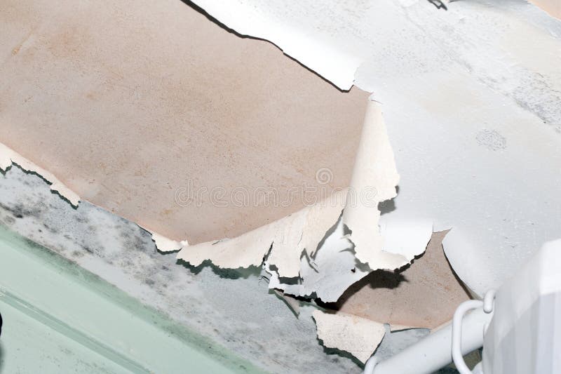 Peeling Damaged Flaking and Falling Down Paint on a Ceiling in a Damp ...
