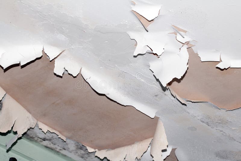 Peeling Damaged Flaking and Falling Down Paint on a Ceiling in a Damp ...