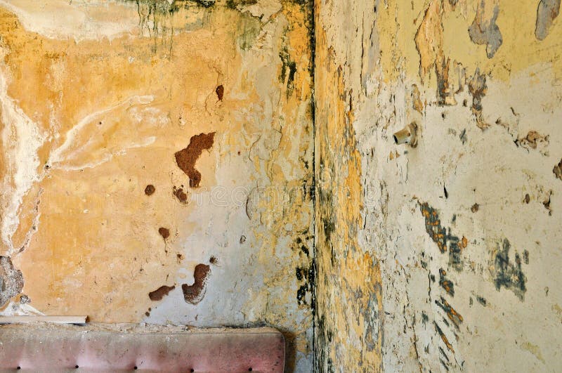 Moldy wall texture stock photo. Image of detail, fungus - 13234486