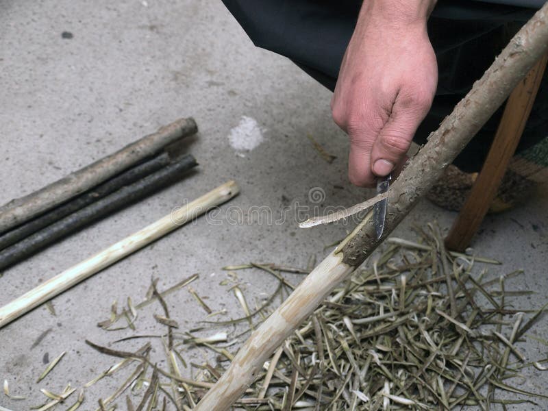 Peeling stick stock image. Image of tree, skin, stick - 168401085