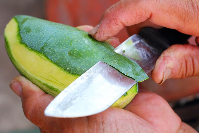 Peeling mango stock image. Image of labor, chopping, cooking - 32005721