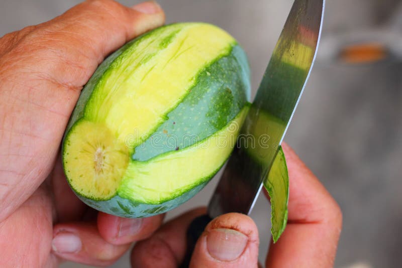 Peeling mango stock photo. Image of kitchen, cooking - 32005734