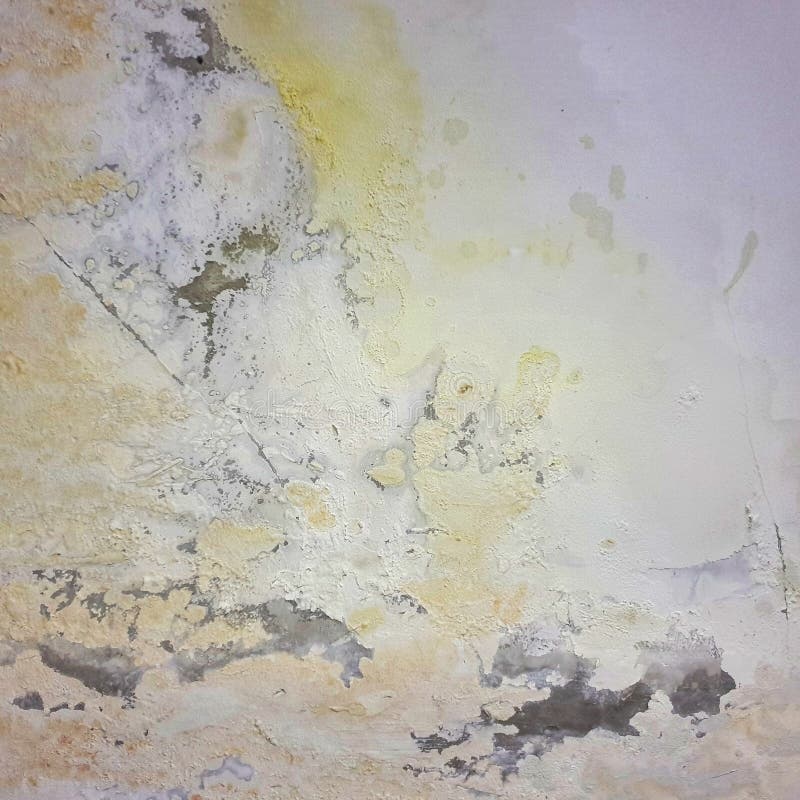 Peeling and Moldy Wall Paint Stock Image - Image of yellow, paint ...