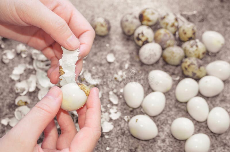 Peeling off quail eggs stock image. Image of protein - 93189789
