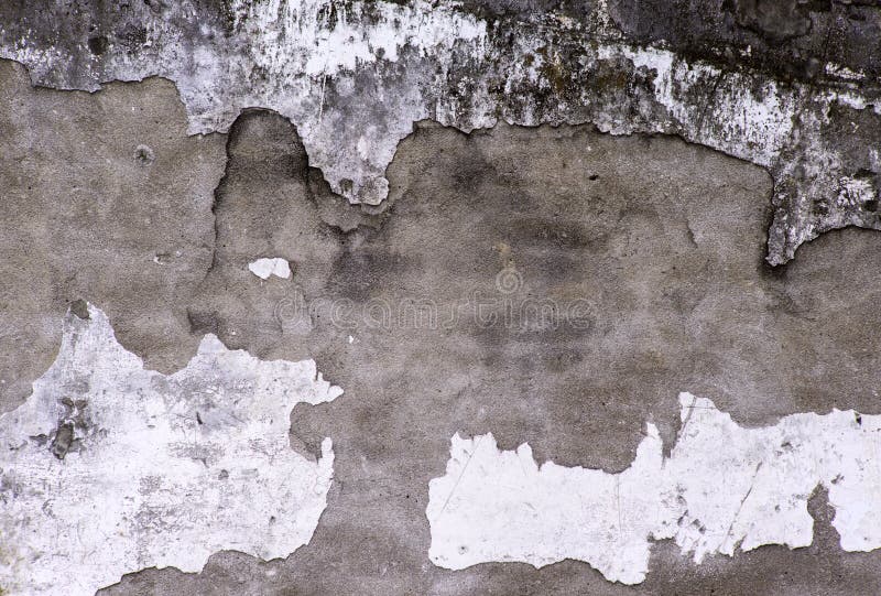 Peeling off wall paint, stock photo. Image of damaged - 77282718