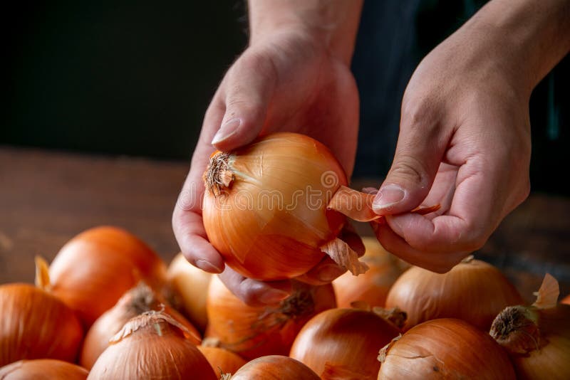 Peeling an onion. stock photo. Image of peel, fresh - 181506130