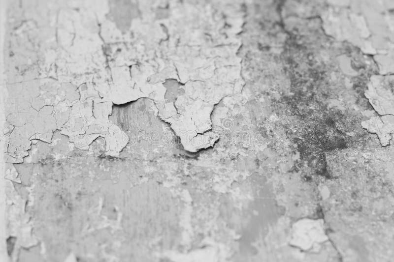 Peeling paint and mold stock image. Image of drawing - 275165659
