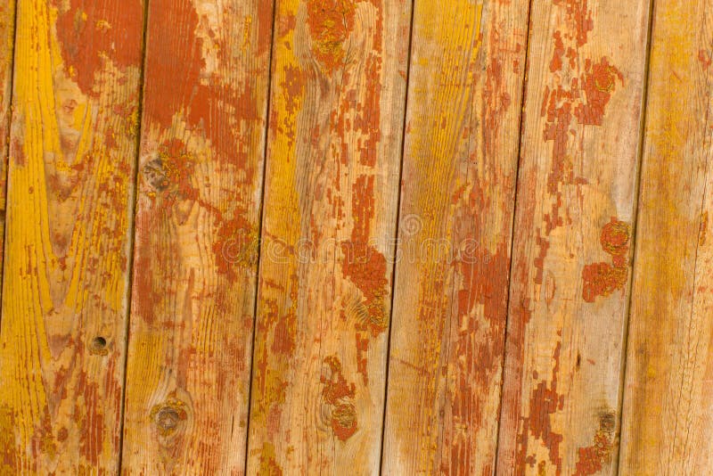Peeling Paint on Old Wooden Rustic Material on the Wall. Stock Photo ...