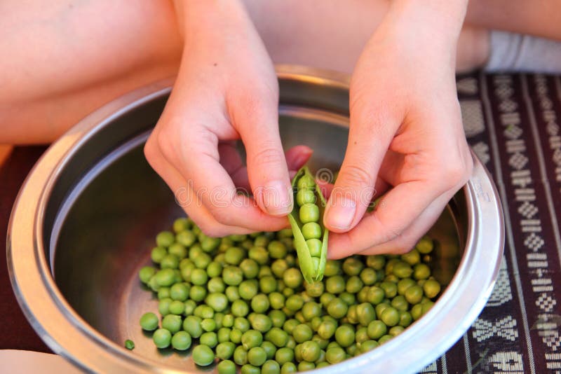 Peeling peas stock photo. Image of seed, ripe, apron - 29623650