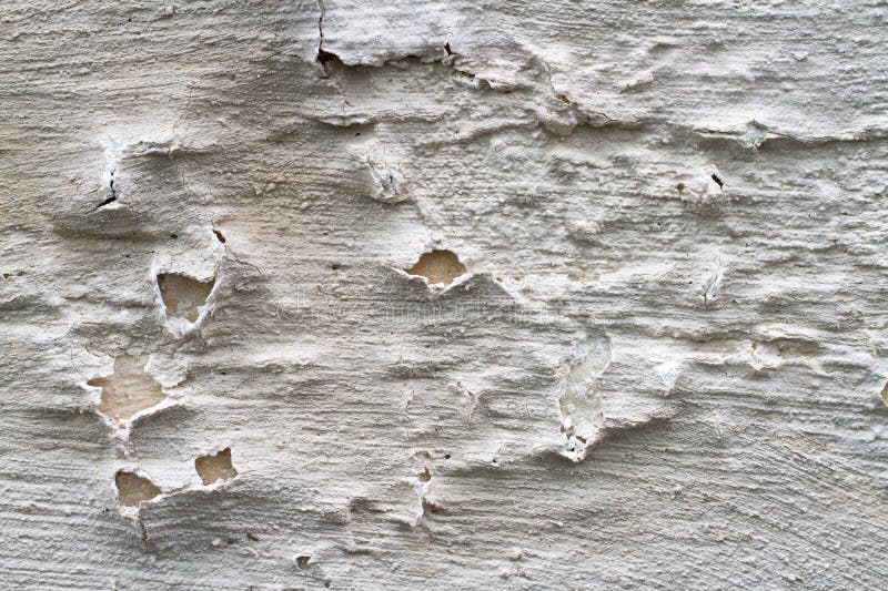 Peeling Plaster on an Old Whitewashed Wall. Stock Photo - Image of damp ...