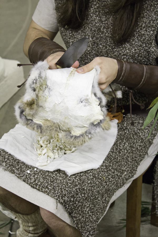Peeling rabbit fur stock photo. Image of furrier, cutting - 43278546