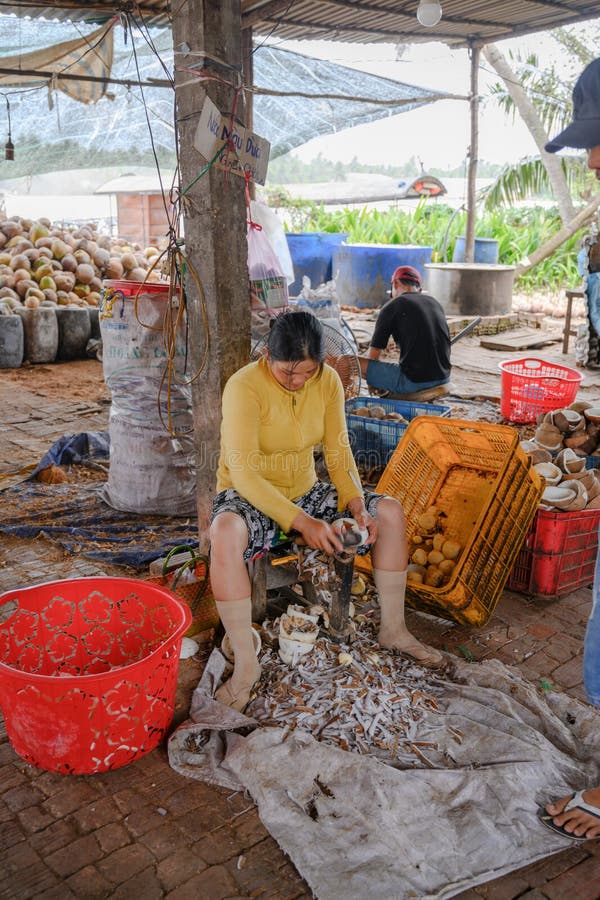 Peeling and Scraping the Coconut in Factory for Burning. Editorial ...
