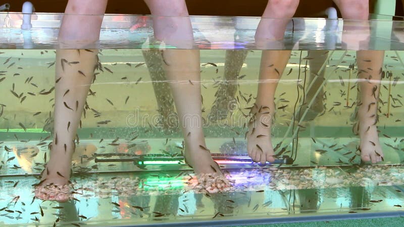 Peeling Skin Feet of Tropical Fish Stock Video - Video of exotic, bath ...