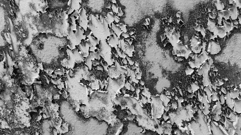 152 Grayscale Rust Background Stock Photos - Free & Royalty-Free Stock ...