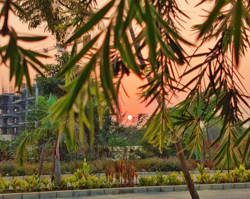 Peeping Sun stock photo. Image of nature, autumn, leaf - 219432704