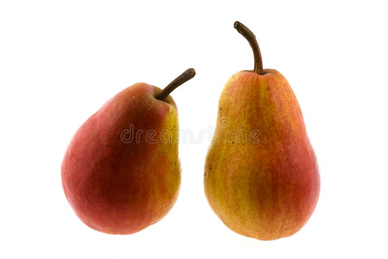 Peer stock afbeelding. Image of maaltijd, gewas, boom - 11530075