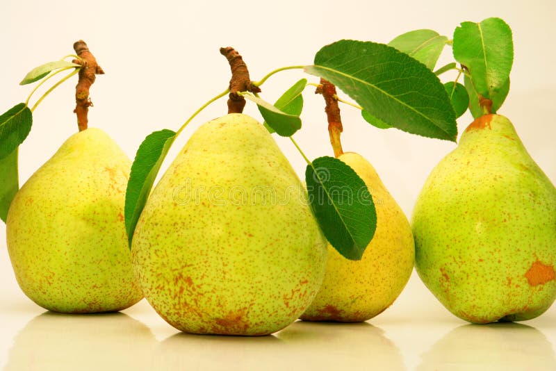 Peer stock afbeelding. Image of kleur, vrucht, gezond - 3294701