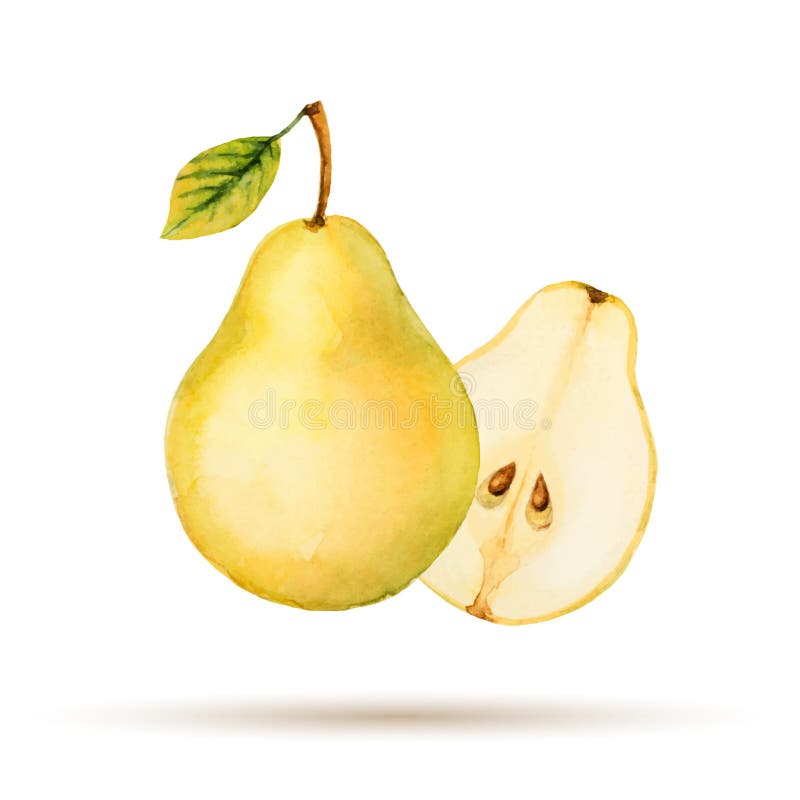 Peer Stock Illustrations, Vectors, & Clipart – (110,611 Stock ...