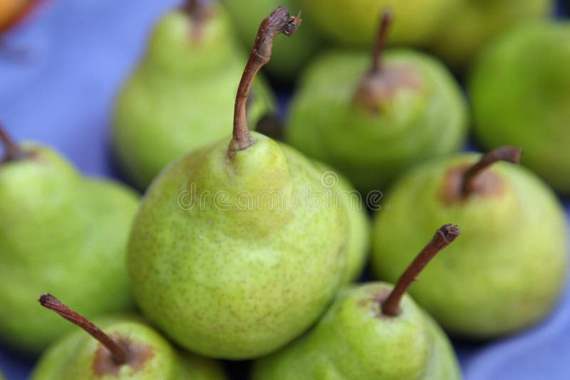 Peach and Peer Trees in Early Spring Blooming in Aitona, Catalonia ...