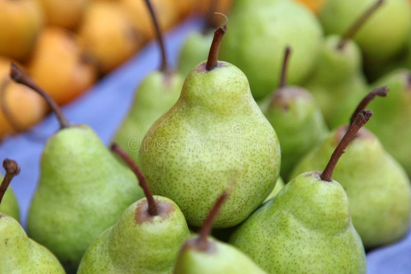Peach and Peer Trees in Early Spring Blooming in Aitona, Catalonia ...