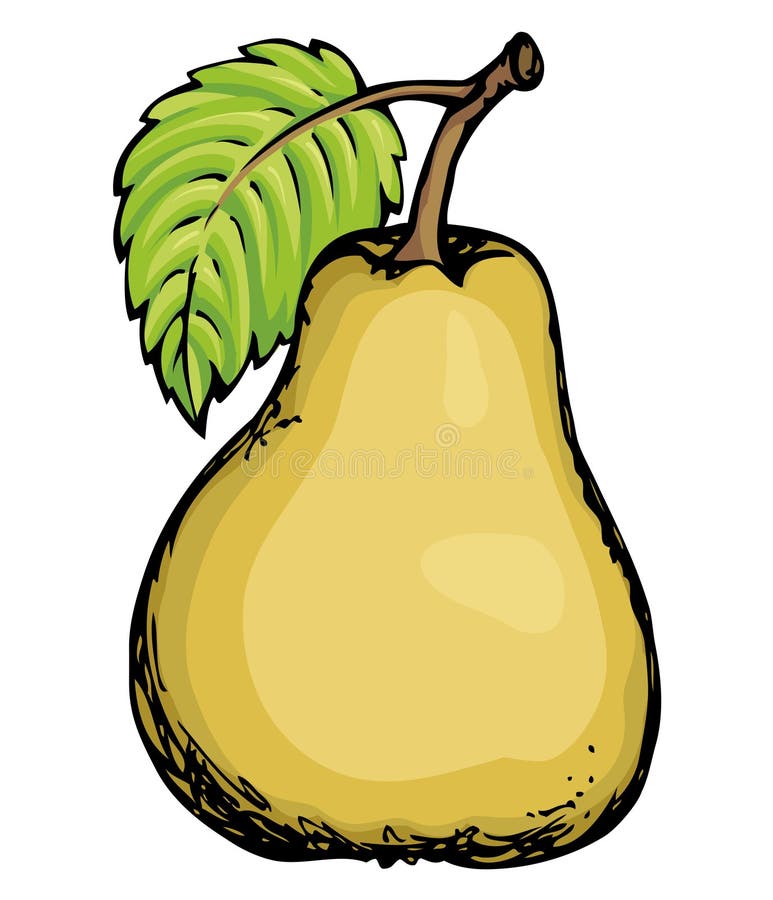 Peer Vector tekening vector illustratie. Illustration of pictogram ...