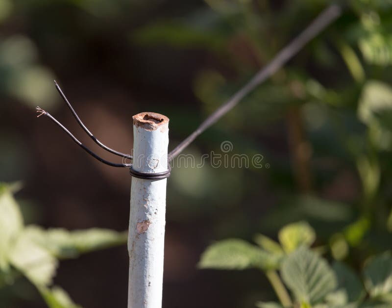 Peg in the garden stock image. Image of traditional - 102575989