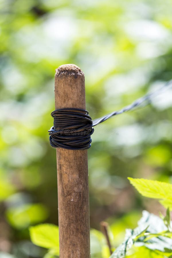 Peg in the garden stock image. Image of garden, hoop - 102575521