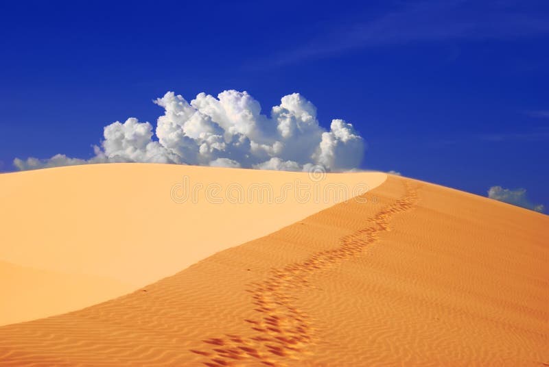 Pegadas na areia imagem de stock. Imagem de seco, duna - 12691927