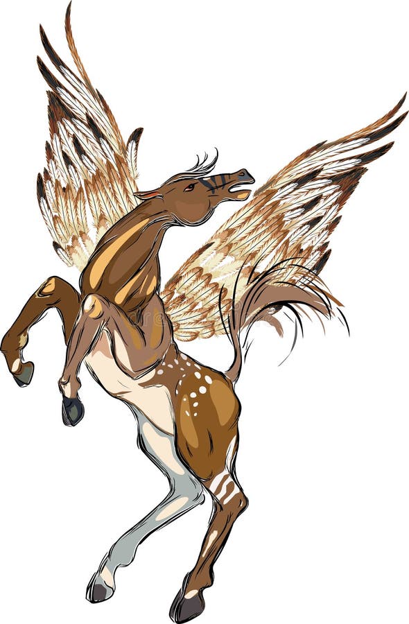 Pegasus stock vector. Illustration of hoof, nature, mythology - 54978576