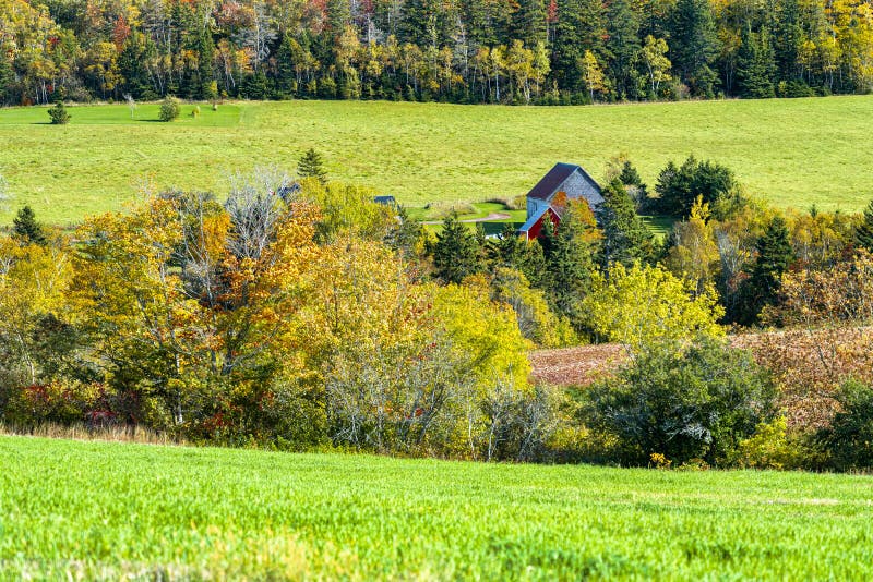 PEI Fall Landscape stock photo. Image of house, farmland - 196166066