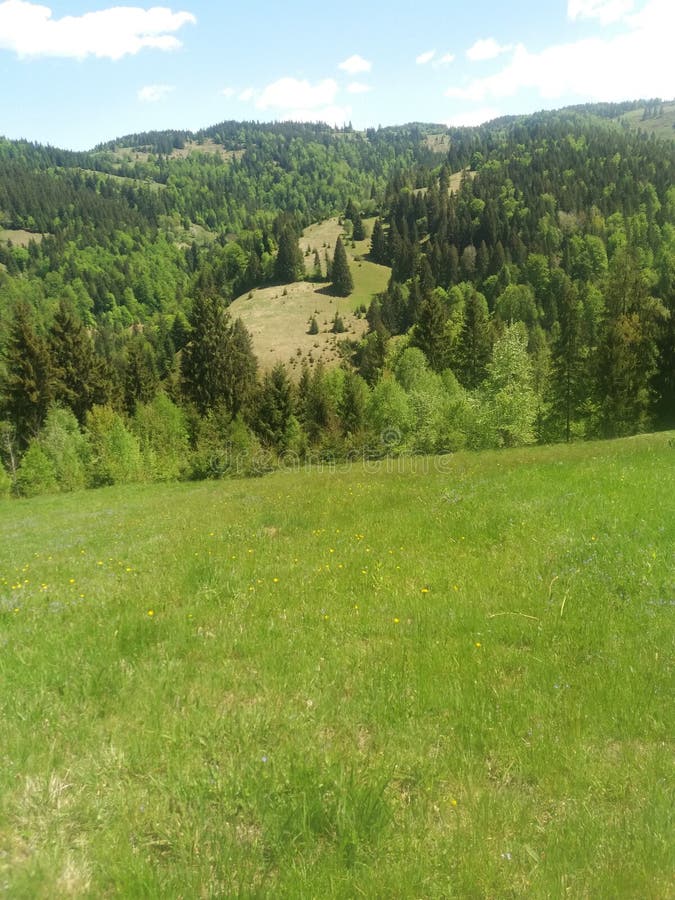 Peisaj de munte stock image. Image of ridge, grass, tree - 183771851