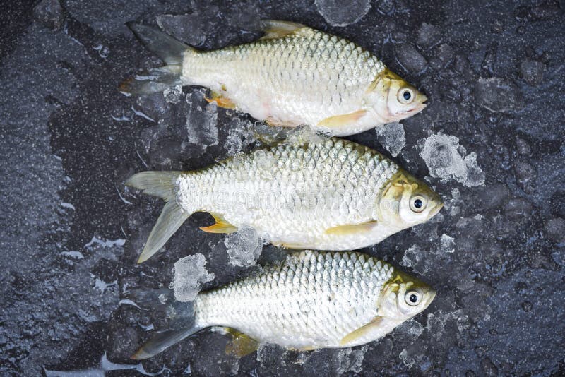 Peixe Com Casca De Prata No Gelo Java Carpa No Mercado Comida No Fundo ...