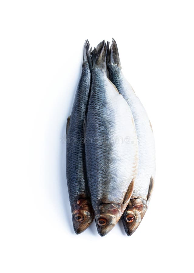 Peixe Fresco De Arenque Cru, Isolado Em Branco Foto de Stock - Imagem ...