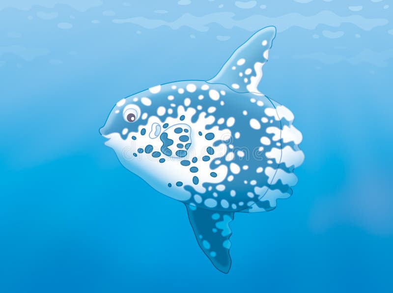 Peixe-lua ilustração do vetor. Ilustração de arte, vetor - 94453266